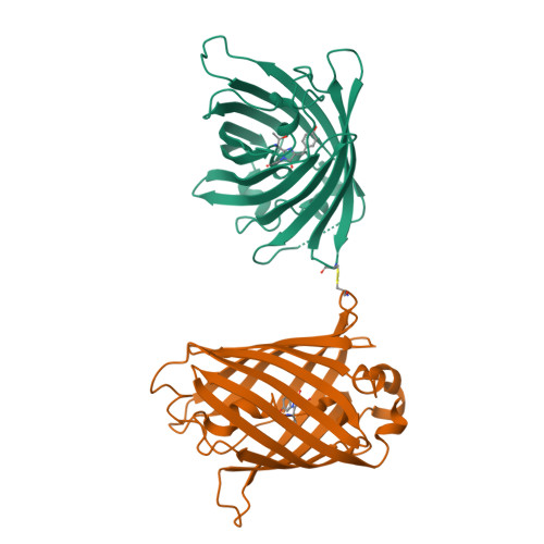 RCSB PDB - 4W69: Crystal Structure of Full-Length Split GFP Mutant ...