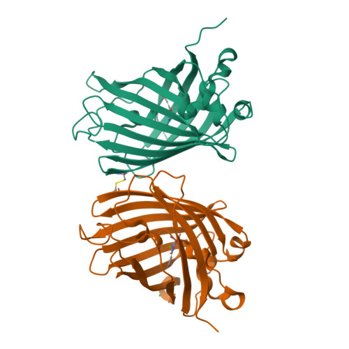 RCSB PDB - 4W6B: Crystal Structure of a Superfolder GFP Mutant K26C ...