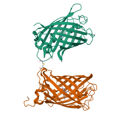 RCSB PDB - 4W6H: Crystal Structure of Full-Length Split GFP Mutant ...