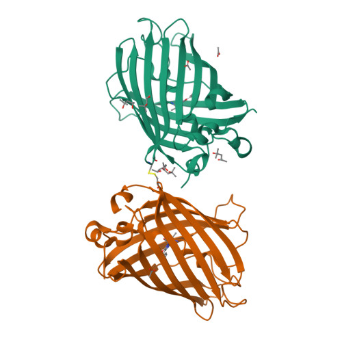 RCSB PDB - 4W6J: Crystal Structure of Full-Length Split GFP Mutant ...