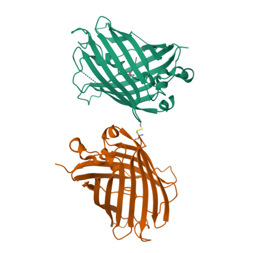 RCSB PDB - 4W6N: Crystal Structure of Full-Length Split GFP Mutant ...