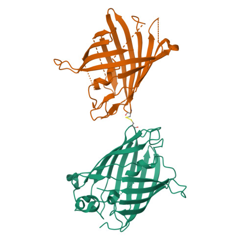 RCSB PDB - 4W6R: Crystal Structure of Full-Length Split GFP Mutant ...