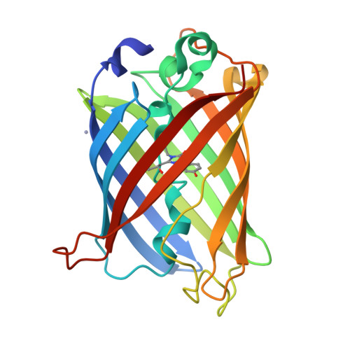 RCSB PDB - 4W74: Crystal Structure of Full-Length Split GFP Mutant ...