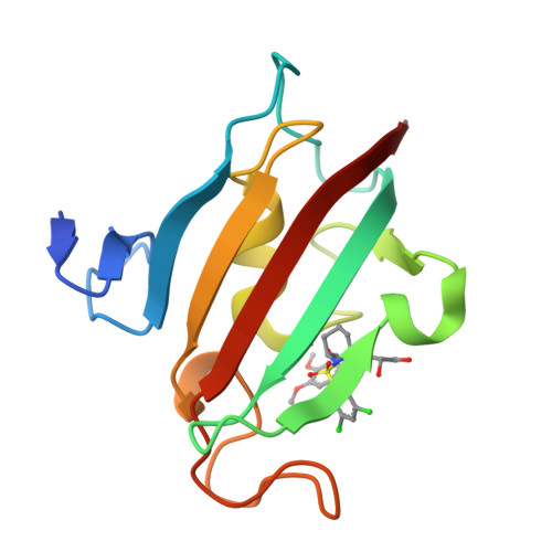 RCSB PDB - 4W9O: The Fk1 domain of FKBP51 in complex with (1S,5S,6R)-10 ...