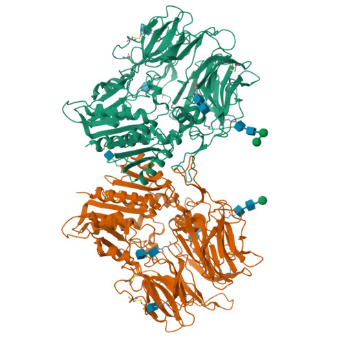 RCSB PDB - 4WJL: Structure of human dipeptidyl peptidase 10 (DPPY): a ...