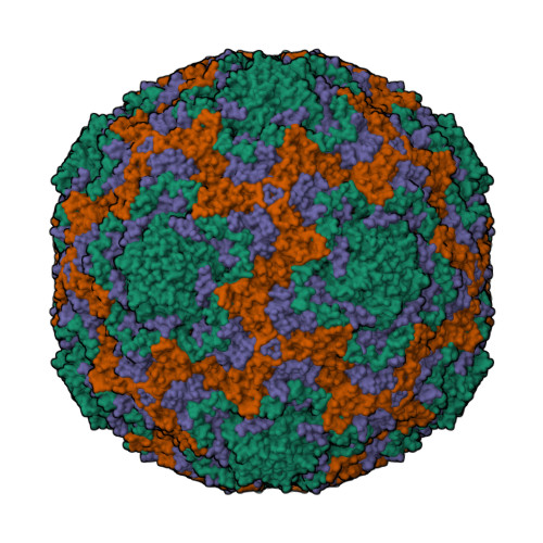RCSB PDB - 4WM7: Crystal Structure of Human Enterovirus D68 in Complex ...