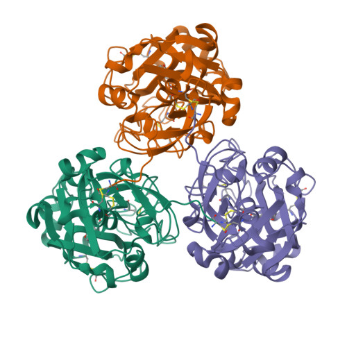 RCSB PDB - 4WMQ: Structure of Human Intelectin-1