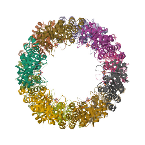 RCSB PDB - 4WXZ: PdxS (G. stearothermophilus) co-crystallized with R5P