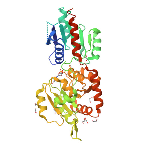 RCSB PDB - 4X1T: The crystal structure of Arabidopsis thaliana ...