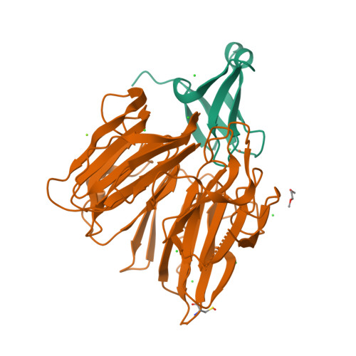 RCSB PDB - 4X33: Structure of the Elongator cofactor complex Kti11 ...