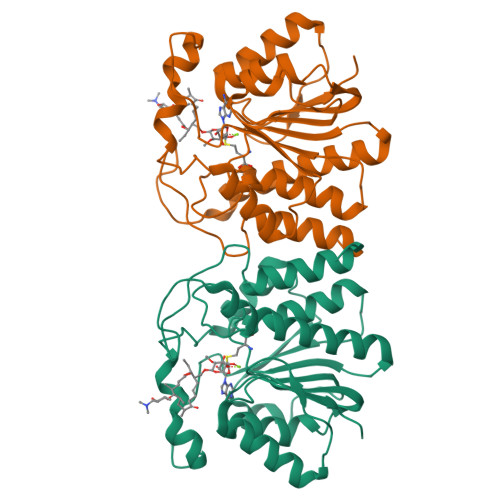 RCSB PDB - 4X7V: MycF mycinamicin III 3'-O-methyltransferase (E35Q ...