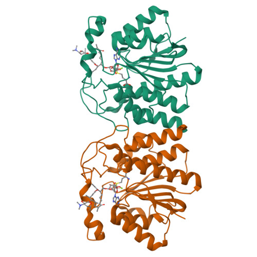RCSB PDB - 4X7W: MycF mycinamicin III 3'-O-methyltransferase (E35Q ...