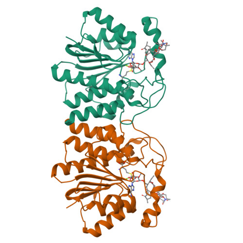 RCSB PDB - 4X7X: MycF mycinamicin III 3'-O-methyltransferase (E35Q ...
