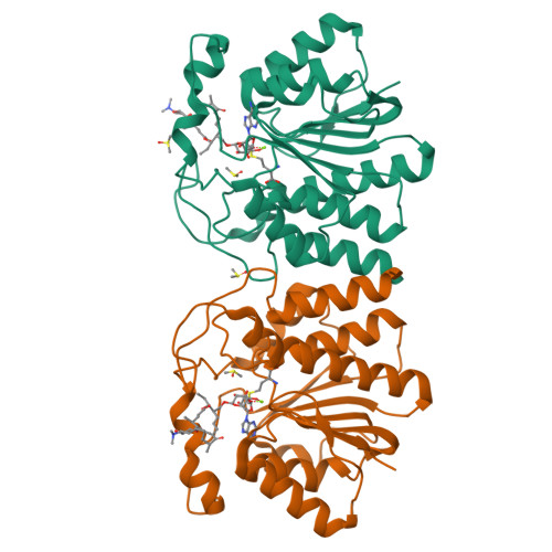 RCSB PDB - 4X81: MycF mycinamicin III 3'-O-methyltransferase (E35Q ...