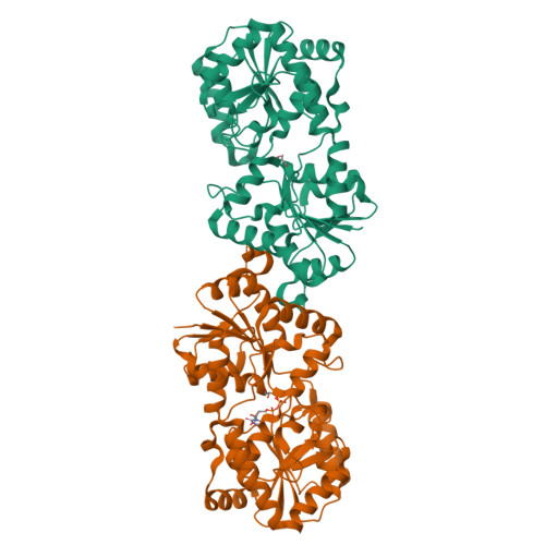 RCSB PDB - 4XSP: Crystal structure of Anabaena Alr3699/HepE in complex ...