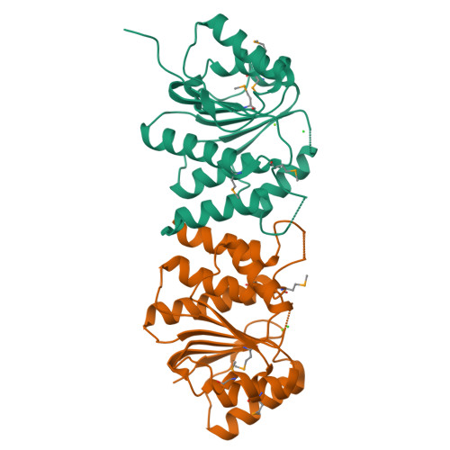 RCSB PDB - 4XVZ: MycF mycinamicin III 3'-O-methyltransferase in complex ...