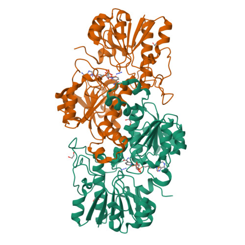 RCSB PDB - 4XYB: GRANULICELLA M. FORMATE DEHYDROGENASE (FDH) IN COMPLEX ...