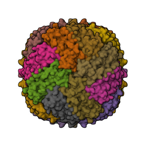 RCSB PDB - 4Y08: ONE MINUTE IRON LOADED HUMAN H FERRITIN