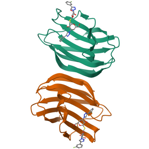 RCSB PDB - 4Y24: Complex of human Galectin-1 and TD-139