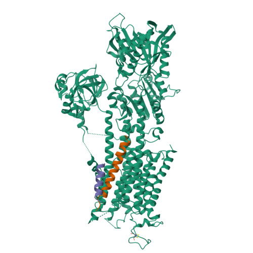 RCSB PDB - 4Y3U: The structure of phospholamban bound to the calcium ...