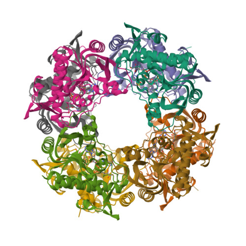 RCSB PDB - 4Y4M: Thiazole synthase Thi4 from Methanocaldococcus jannaschii