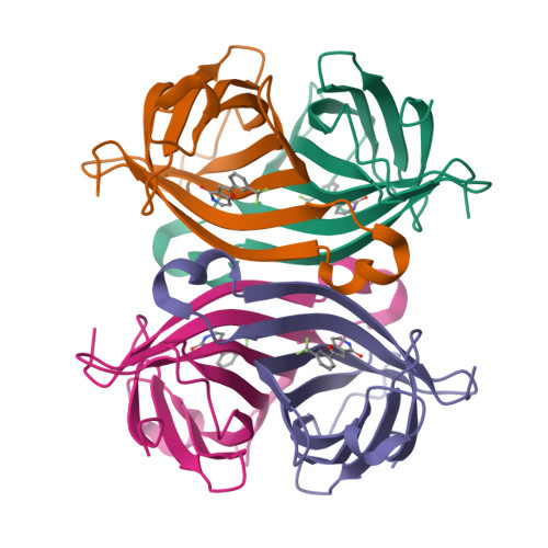 RCSB PDB - 4Y59: Crystal structure of ALiS1-Streptavidin complex