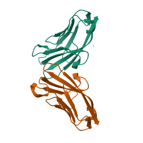 RCSB PDB - 4Y89: Crystal structure of the N-terminal domain of CEACAM7