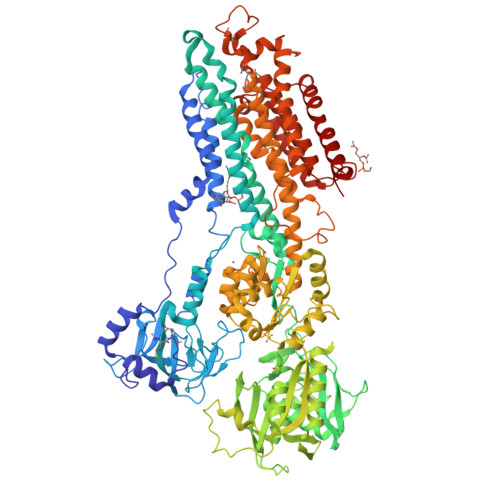 RCSB PDB - 4YCM: Crystal structure of the calcium pump with bound ...