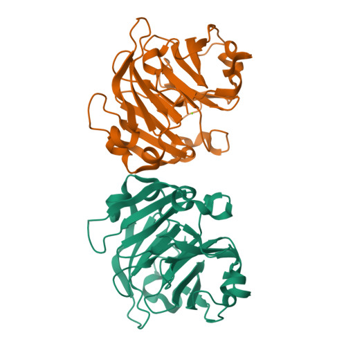 RCSB PDB - 4YEH: Crystal structure of Mg2+ ion containing hemopexin ...