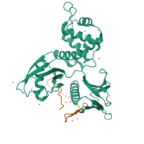RCSB PDB - 4YL8: Crystal structure of the Crumbs/Moesin complex