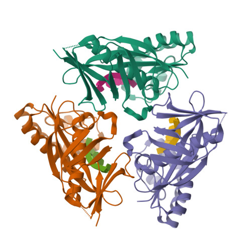 RCSB PDB - 4YOX: Crystal structure of a trimeric exonuclease PhoExo I ...