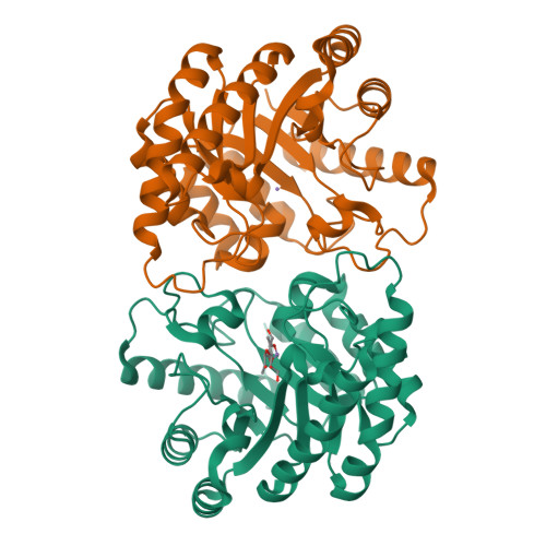 RCSB PDB - 4YTQ: Crystal structure of D-tagatose 3-epimerase C66S from ...