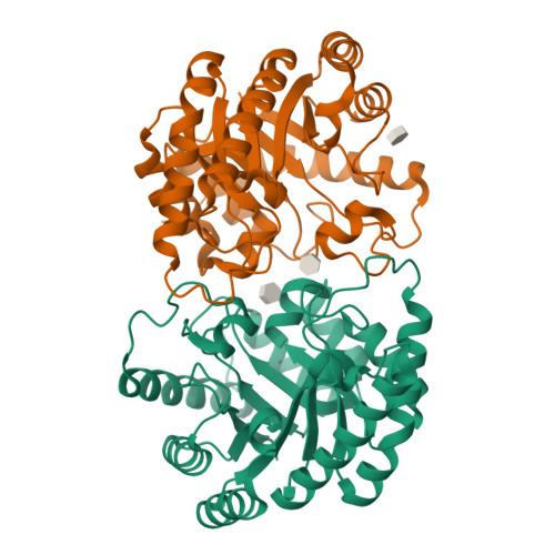 RCSB PDB - 4YTR: Crystal structure of D-tagatose 3-epimerase C66S from ...