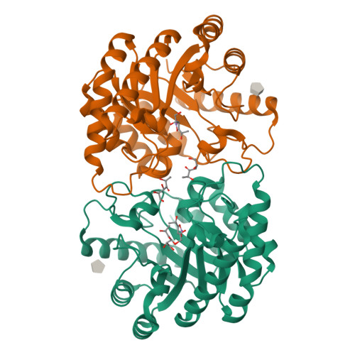 RCSB PDB - 4YTS: Crystal structure of D-tagatose 3-epimerase C66S from ...