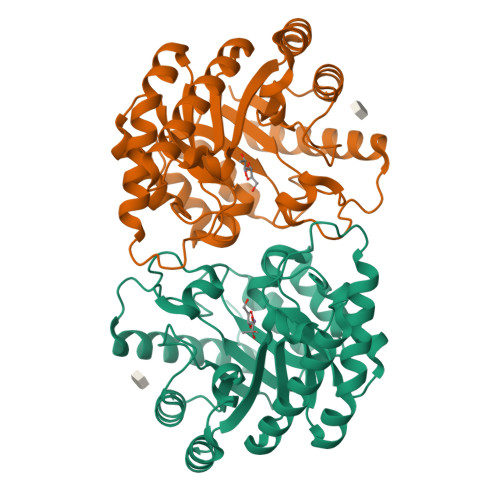 RCSB PDB - 4YTT: Crystal structure of D-tagatose 3-epimerase C66S from ...