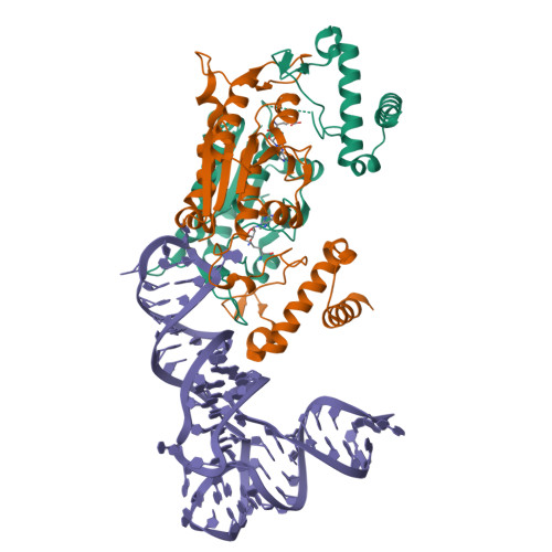 RCSB PDB - 4YVJ: Crystal Structure of H. influenzae TrmD in complex ...