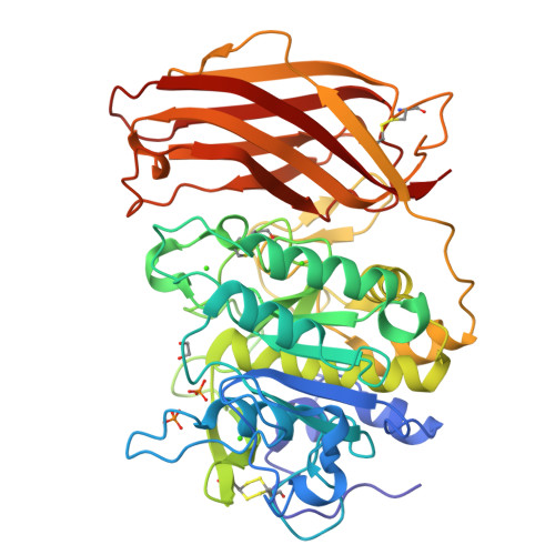 RCSB PDB - 4Z2A: Crystal structure of unglycosylated apo human furin @1.89A