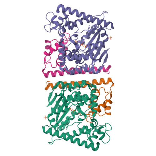 RCSB PDB - 4Z8V: CRYSTAL STRUCTURE OF AVRRXO1-ORF1:-ORF2 COMPLEX, NATIVE.