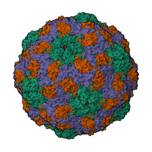 RCSB PDB - 4Z92: crystal structure of parechovirus-1 virion