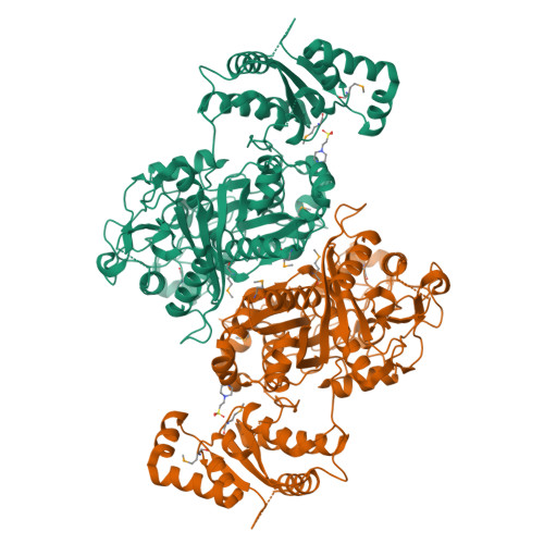 RCSB PDB - 4ZDN: Streptomyces platensis isomigrastatin ketosynthase ...