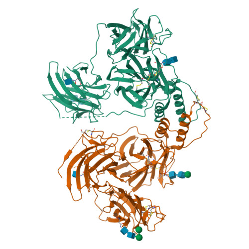 RCSB PDB - 4ZEL: Human dopamine beta-hydroxylase