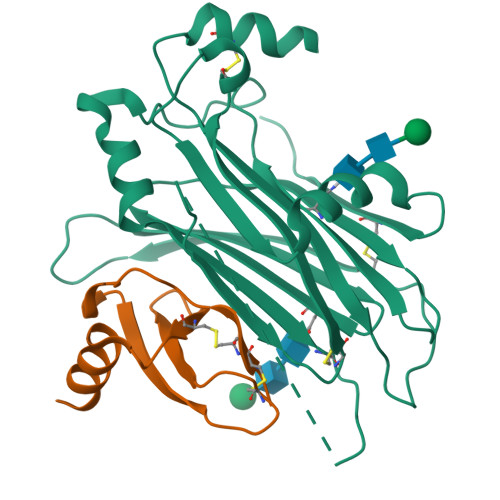 RCSB PDB - 4ZK9: The chemokine binding protein of orf virus complexed ...