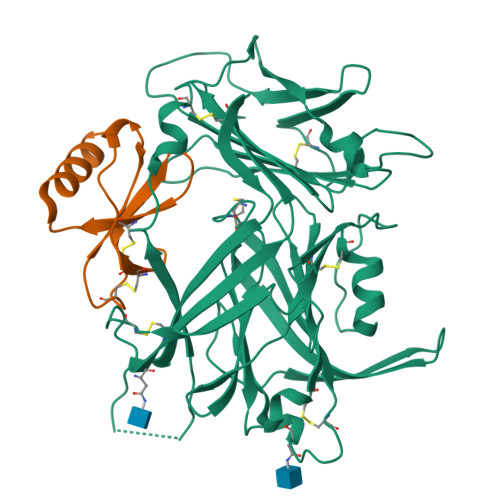RCSB PDB - 4ZLT: Crystal structure of viral chemokine binding protein ...