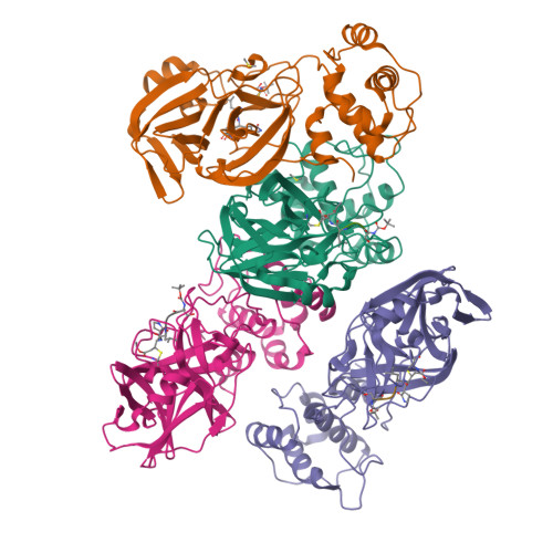 RCSB PDB - 4ZRO: 2.1 A X-Ray Structure of FIPV-3CLpro bound to covalent ...