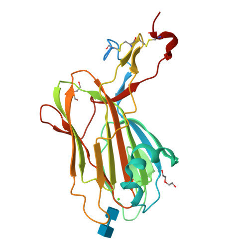 RCSB PDB - 5A3M: Structure of Cea1A in complex with Chitobiose