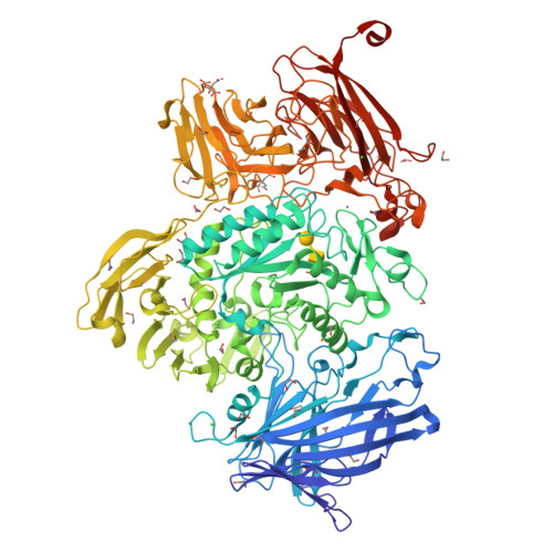 RCSB PDB - 5A58: The structure of GH101 D764N mutant from Streptococcus ...