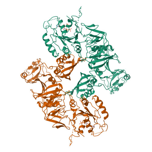 RCSB PDB - 5A9Y: Structure of ppGpp BipA