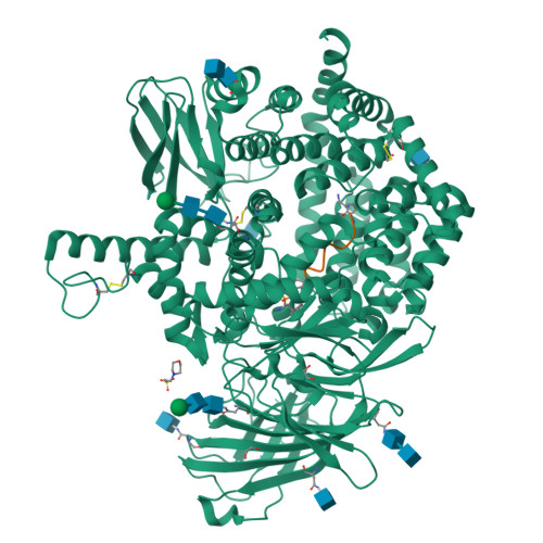 RCSB PDB - 5AB0: Crystal structure of aminopeptidase ERAP2 with ligand
