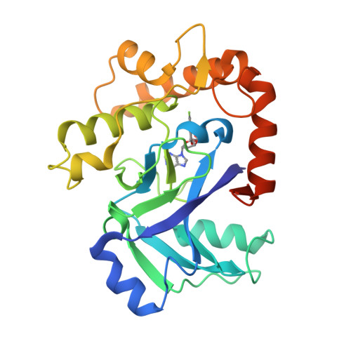 RCSB PDB - 5AGJ: Crystal structure of the LeuRS editing domain of ...