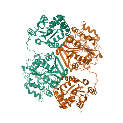 RCSB PDB - 5AHX: Apo structure of soluble epoxide hydrolase